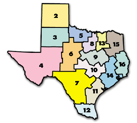 Texas Local Government Sales Taxes Are Flat – Let's Talk About It, Lewis!